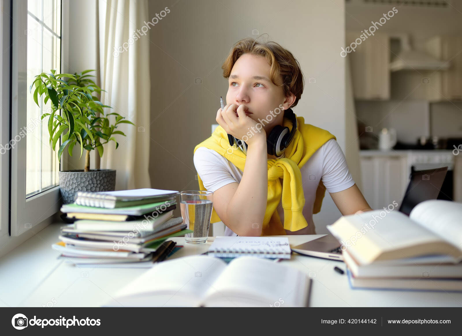 High School Boy Studying