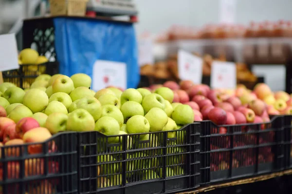 Fresh healthy bio red and green apples on street farmer market. Typical ...