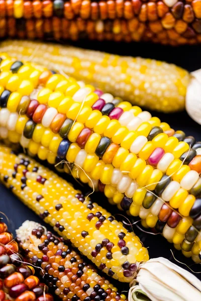 Flint corn - Stock Image - Everypixel
