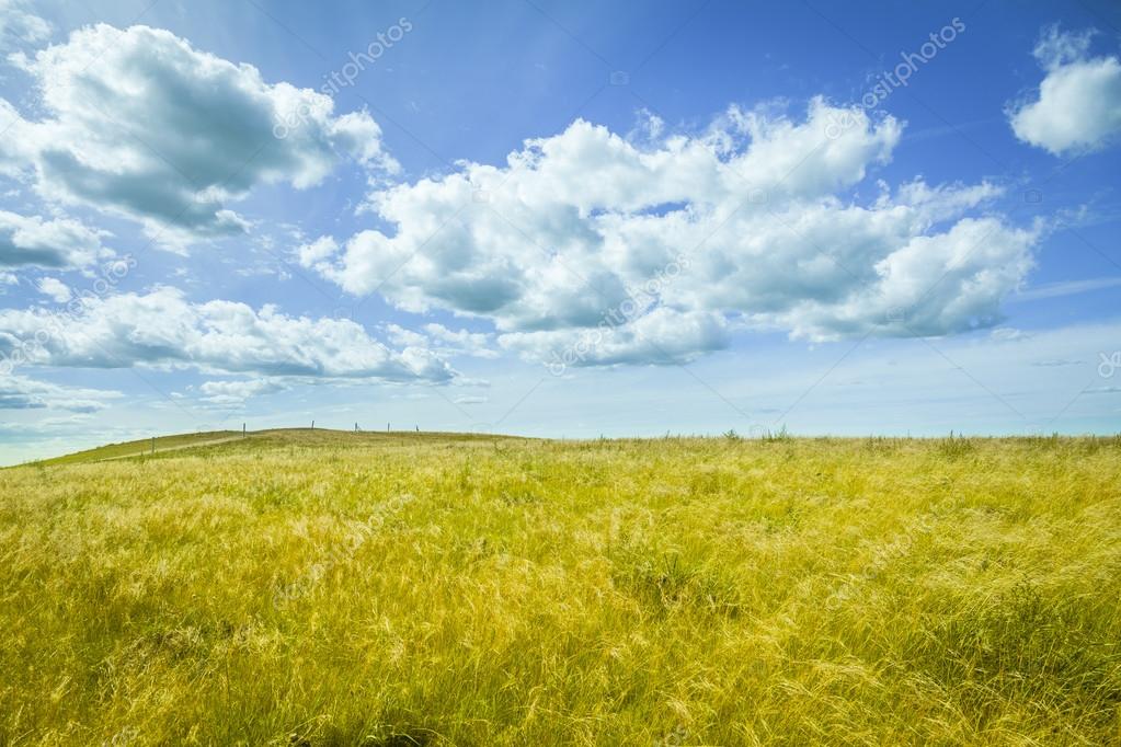 Beautiful prairie landscape with blue sky and clouds — Stock Photo ...