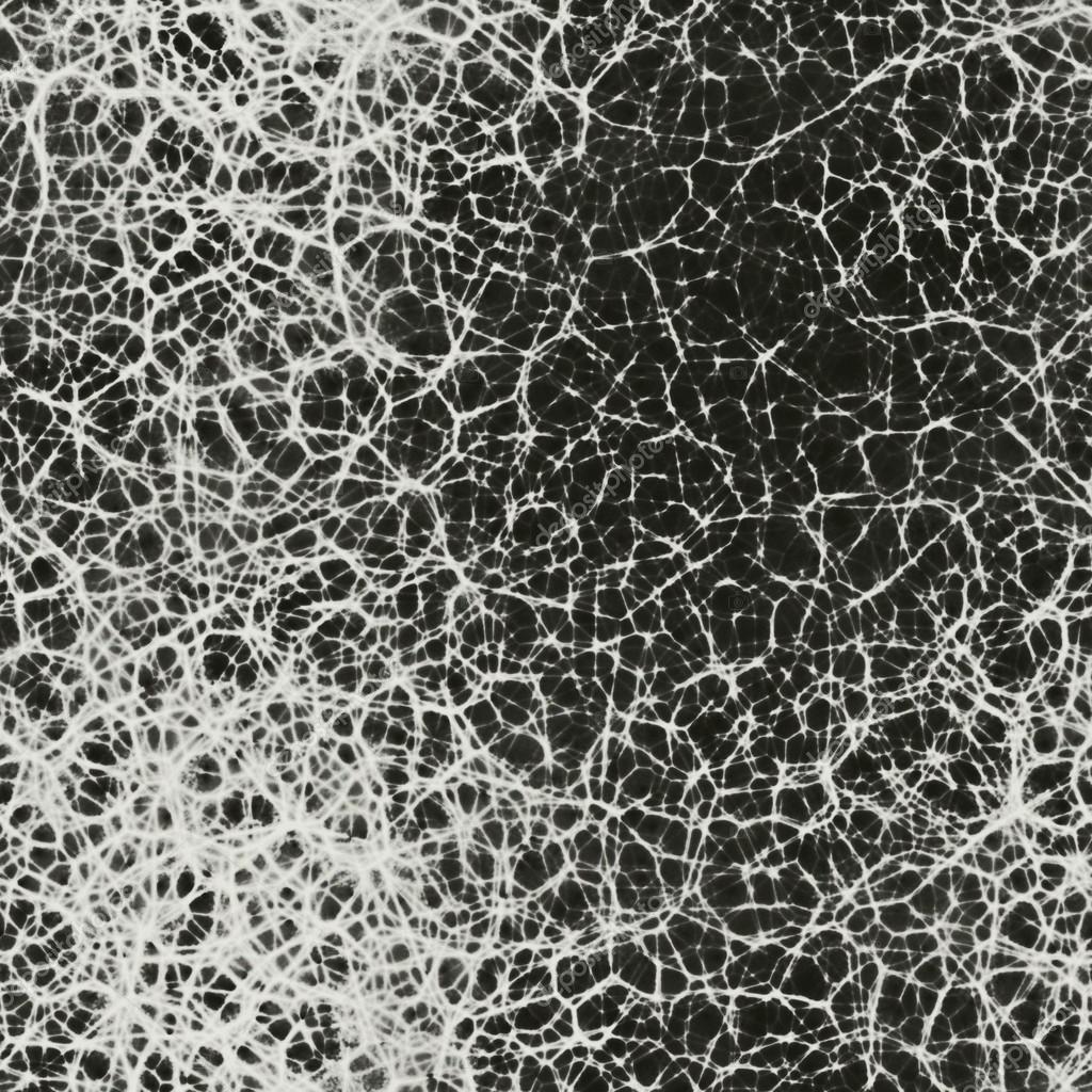 Human neurons in brain seamless 3d rendering Stock Photo by ...