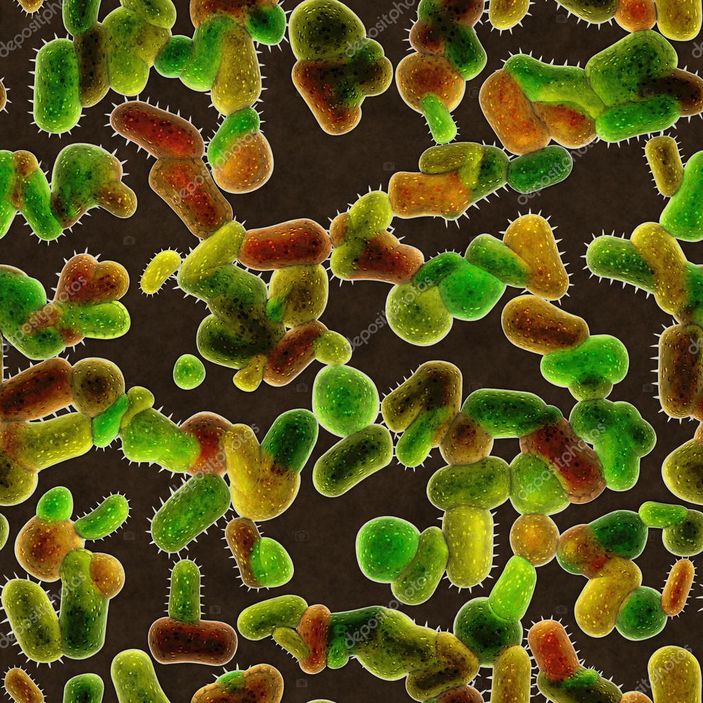 Bacteria under microscope Stock Photo by ©DarioStudios 55494977