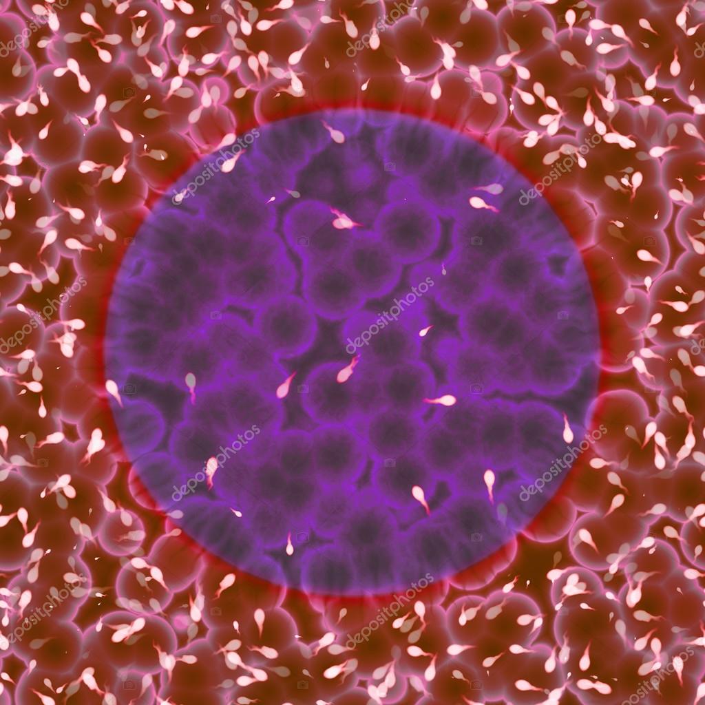 Bacteria under microscope Stock Photo by ©DarioStudios 59948487