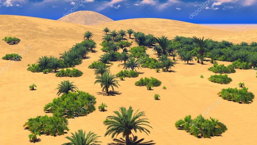 Sahara Desert Plants List
