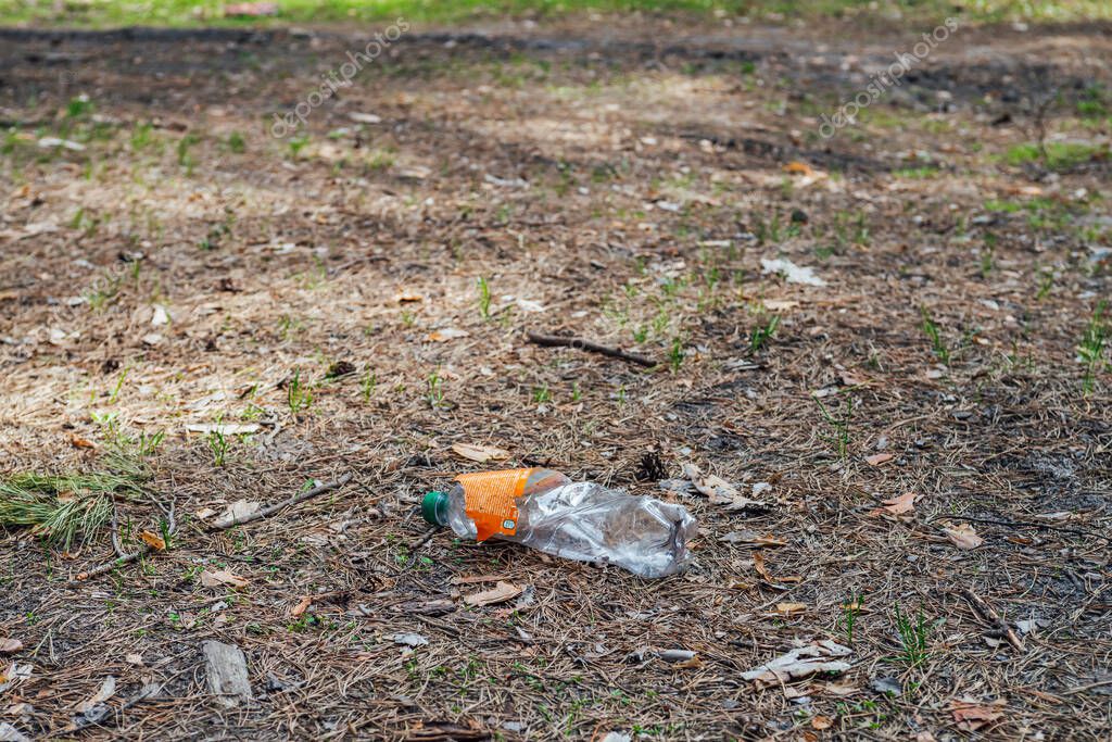 Botella de plástico en el bosque entre plantas. Plástico tóxico en la ...