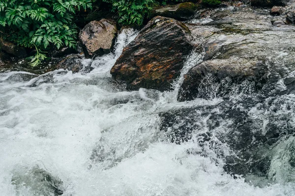 Beautiful landscape with big stones in water riffle of mountain river ...