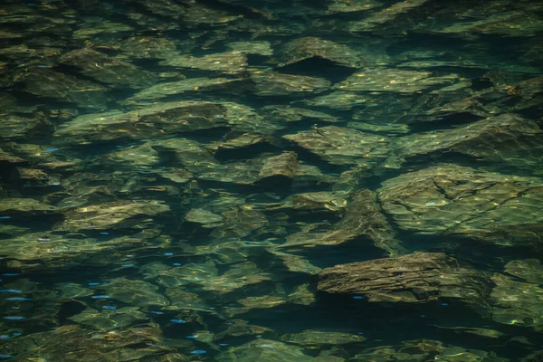 Underwater Rock Texture