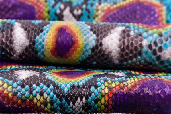 Python coloré Stock Photos, Royalty Free Python coloré Images ...