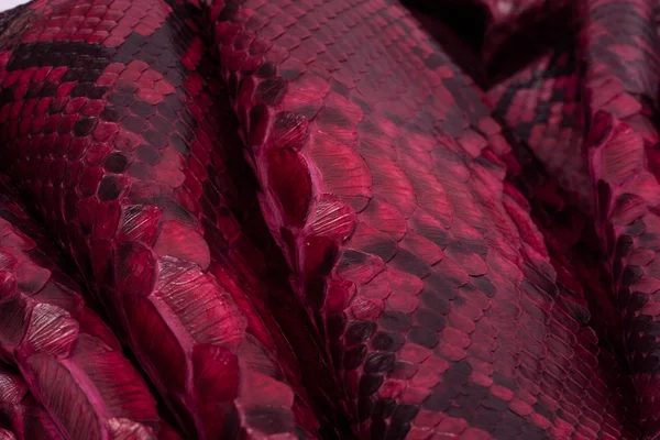 Python snakeskin leather background, snake skin, texture, animal ...