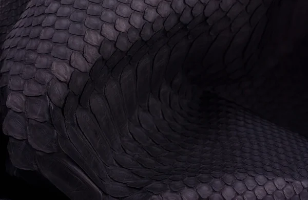 Python snakeskin leather background, snake skin, texture, animal ...