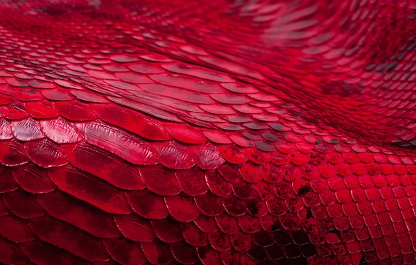 Red Snake Skin Wallpaper
