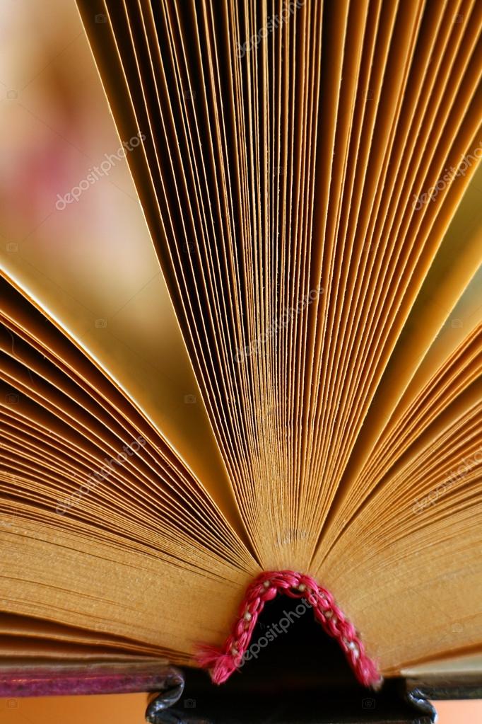 Open book — Stock Photo © friday #84594838