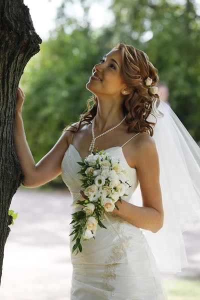 Beautiful bride - Stock Image - Everypixel