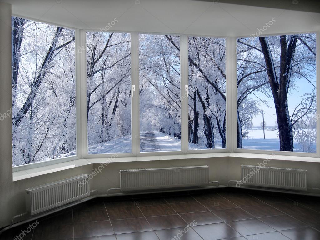 Winter Views Out Of Windows