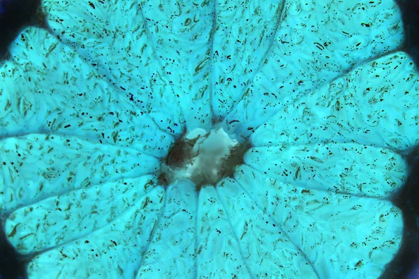 Quantum design group Stock Photos, Royalty Free Quantum design group ...