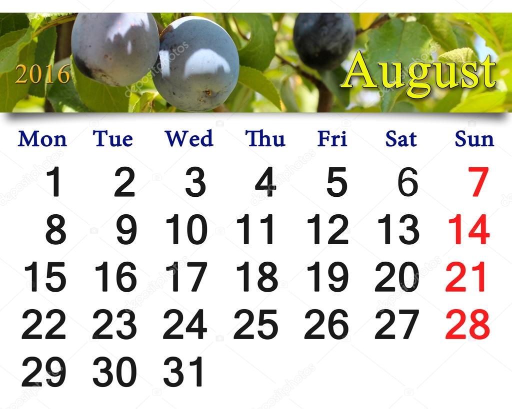 Calendar for August 2016 with ripes plums — Stock Photo © alexmak72427 ...