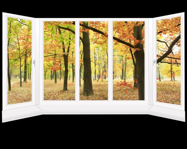 Window view Stock Photos, Royalty Free Window view Images | Depositphotos