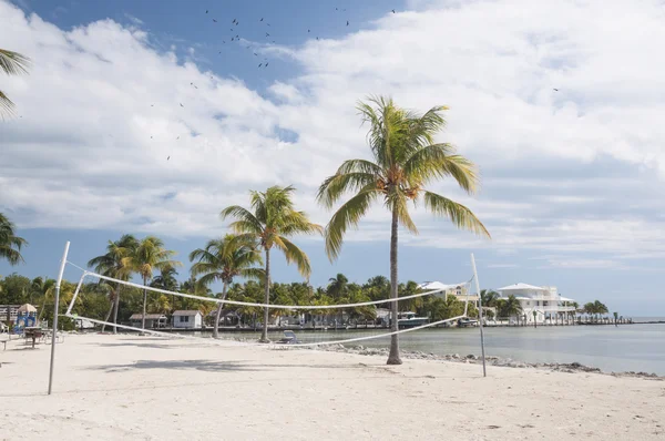 Beautiful tropical beach in Florida Keys Stock Photo by ©philipus 55968095