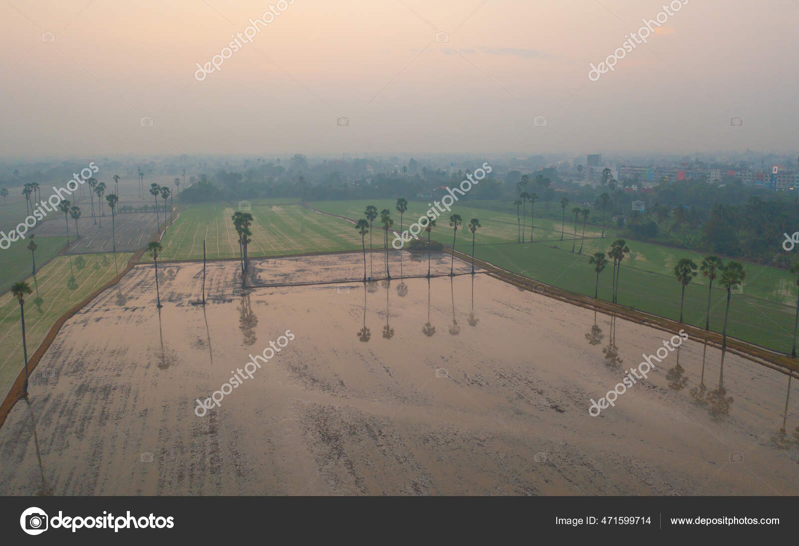 Aerial View Dong Tan Trees Green Rice Field National Park — Stock Photo ...