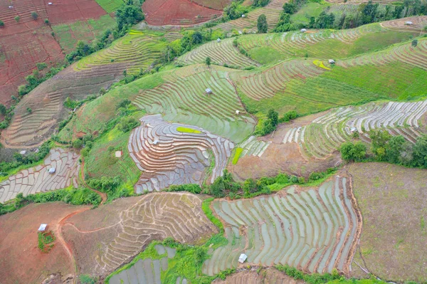 Aerial top view of paddy rice terraces with water reflection, green ...
