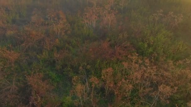 Vidéos pour Parc de champ, Parc de champ clips vidéo HD / 4K, footage | Depositphotos