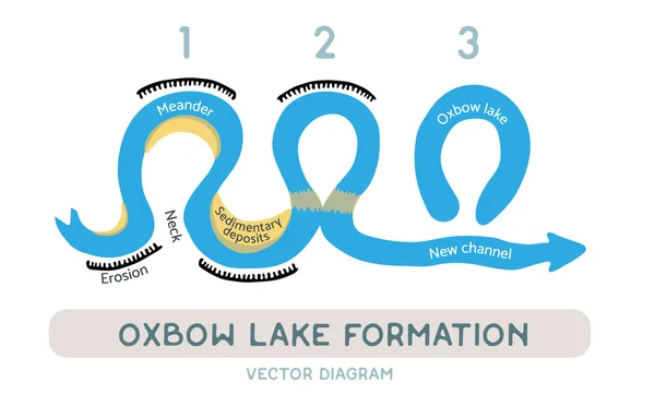 Oxbow Vector Images, Royalty-free Oxbow Vectors | Depositphotos®