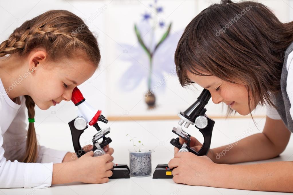 Niños pequeños en el laboratorio de ciencias estudian muestras bajo el ...