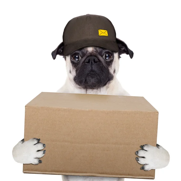 Shipping dog Stock Photos, Royalty Free Shipping dog Images | Depositphotos