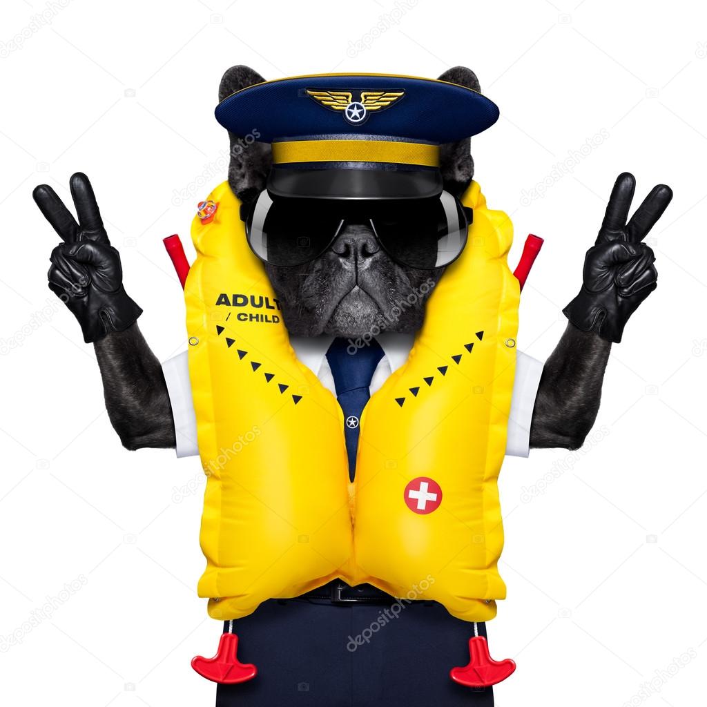 Captain cockpit airline dog Stock Photo by ©damedeeso 66119487