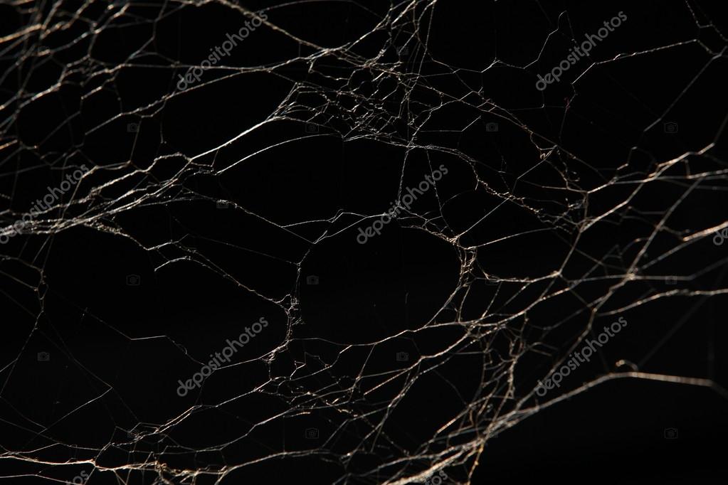 Straszny Spider web tekstury — Zdjęcie stockowe © rajastills #117768004