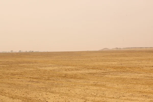 Desert Landscape in India — Stock Photo © rajastills #65410025
