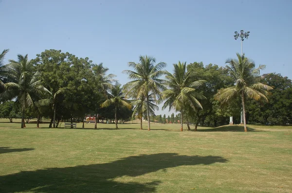 Tiger ground Stock Photos, Royalty Free Tiger ground Images | Depositphotos