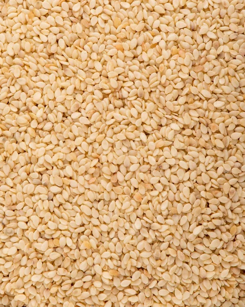 Sesame color Stock Photos, Royalty Free Sesame color Images | Depositphotos