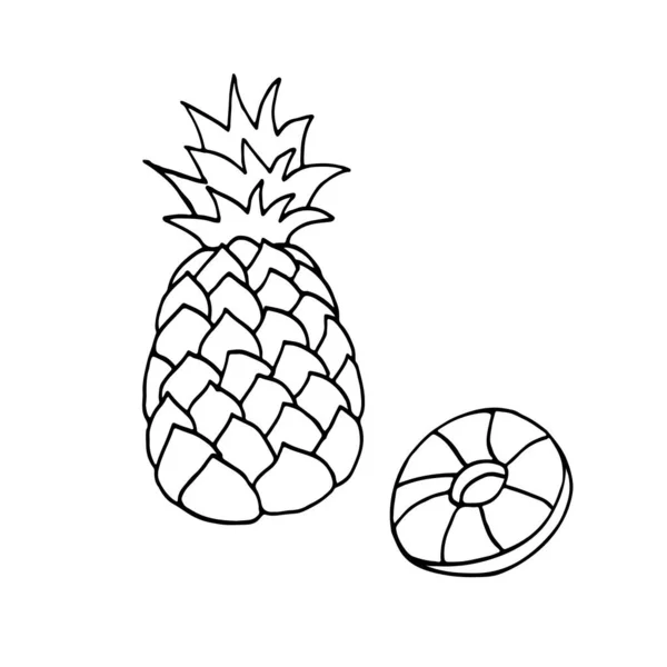 Grafika wektorowa Ananas rysunek, Ananas rysunek obrazy wektorowe ...