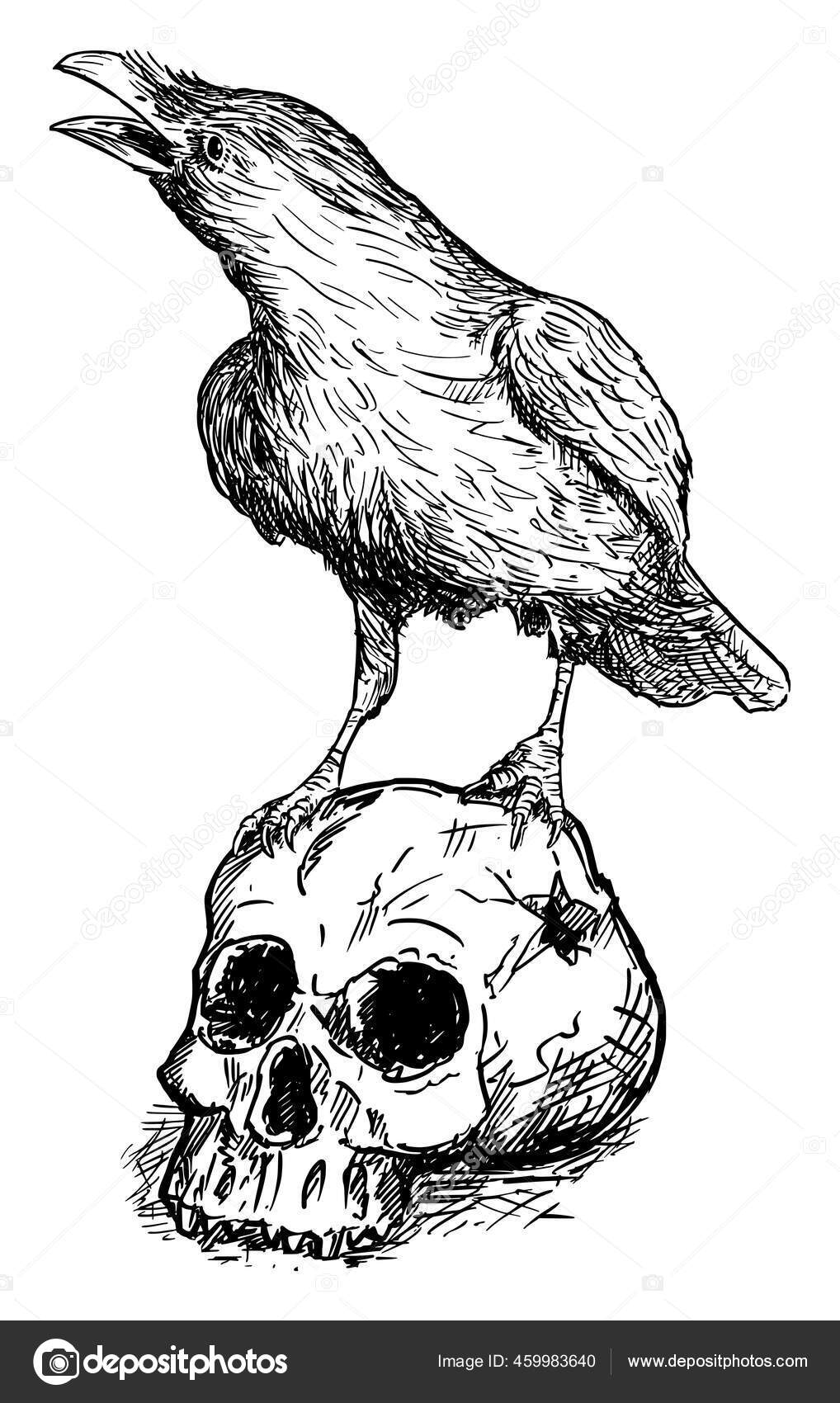 Creepy Raven Drawing