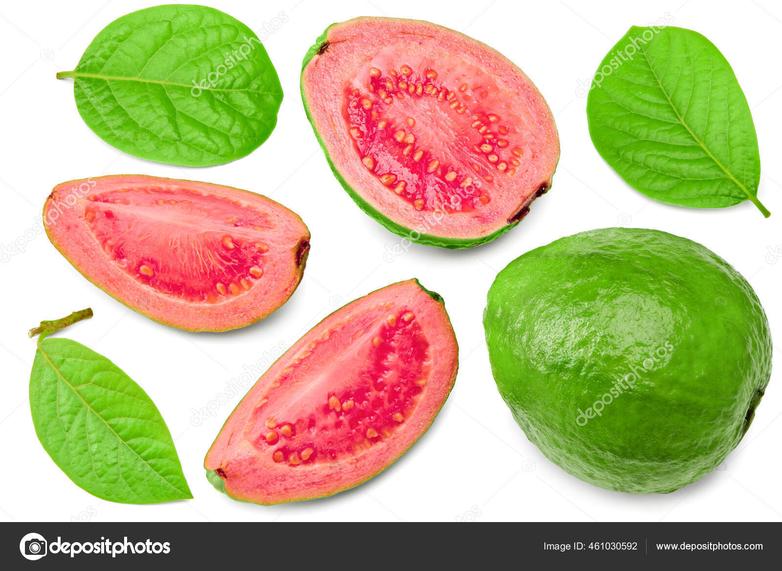 Guava Slice Isolated White Background Clipping Path Top View Stock ...