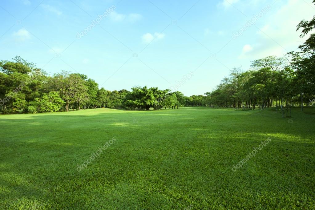 Beautiful green grass field and fresh plant in vibrant meadow ag Stock ...