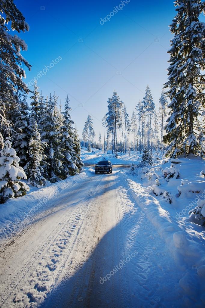 Snowy Swedish Forest