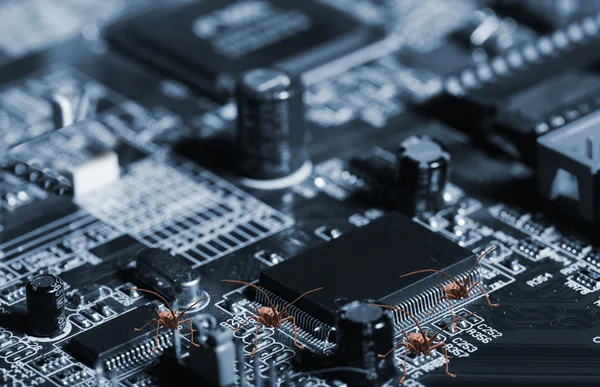 Computer Bug Images - Search Images on Everypixel