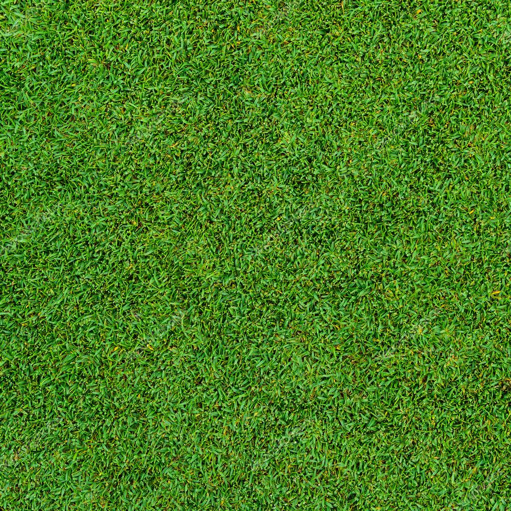 Grass Background Pattern