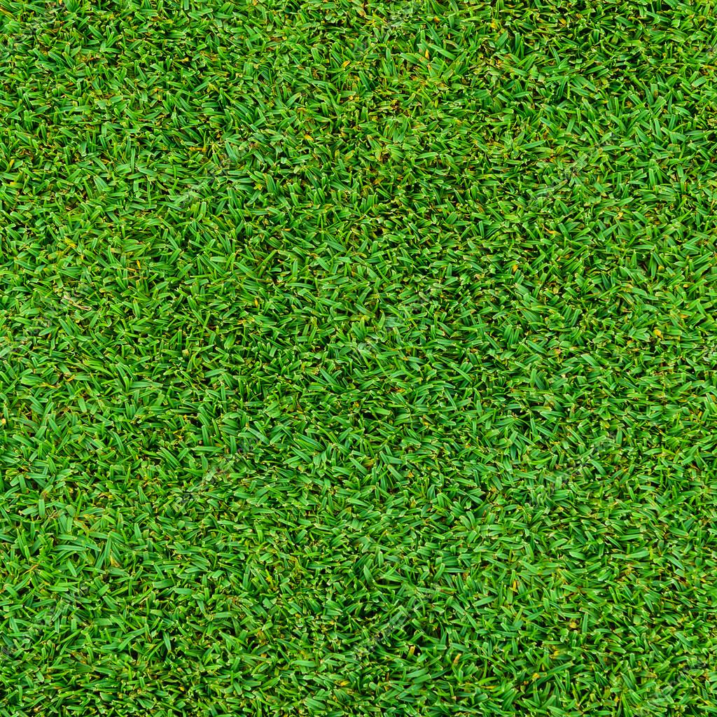 Background and texture of Beautiful green grass pattern — Stock Photo ...