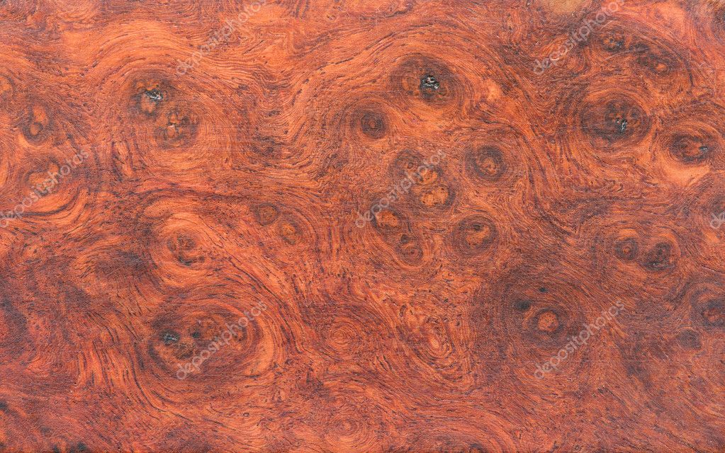 Background and texture of Macro Ormosia wood Stock Photo by ©wuttichok ...