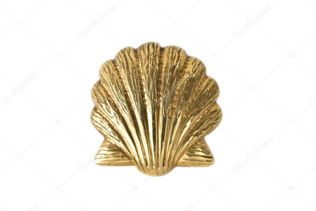 Golden shell isolated on white background — Stock Photo © charmboyz ...