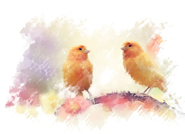 Yellow Birds Watercolor - Stock Image - Everypixel