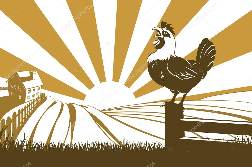 Farm and rooster — Stock Vector © Krisdog #81164838