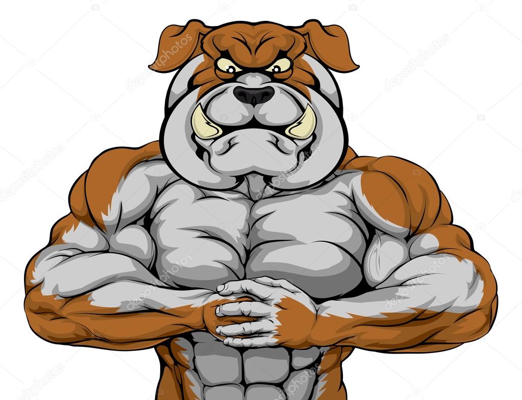 Are Bulldogs Strong