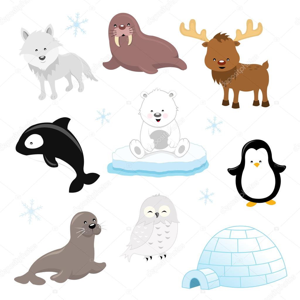 Cute Arctic Animals