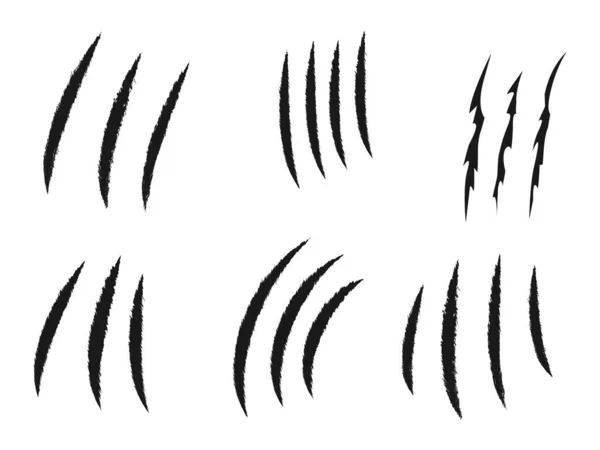 Eyebrow hairs Vector Art Stock Images | Depositphotos