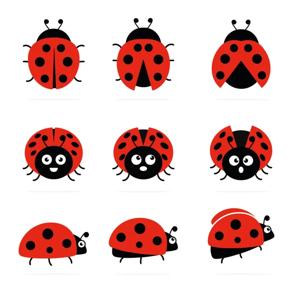 Ladybugs Vector Art Stock Images | Depositphotos