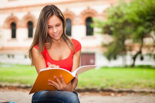 Young reading Stock Photos, Royalty Free Young reading Images ...
